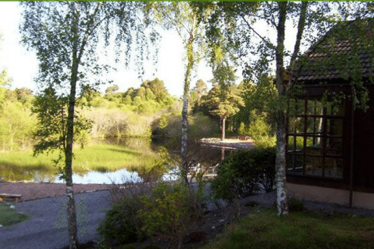 Gallery | Tullochwood Lodges